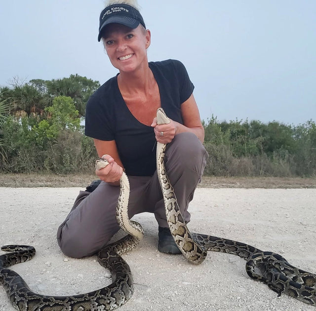 Burmese Pythons of the Everglades – A. JARON Fine Jewelry